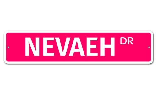 6852 SS Nevaeh 4" x 18" Novelty Street Sign Aluminum | eBay