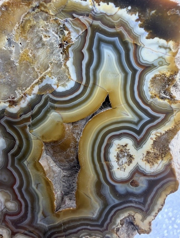 Top Shelf Kentucky Agate Polished Half Nodule - Crazy Pattern, colors ...
