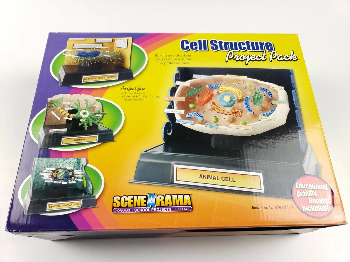 Plant Cell Model Project For School