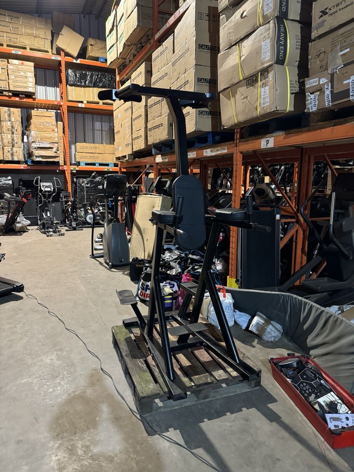 Commercial Pull Up/ Power Dip Station | eBay UK