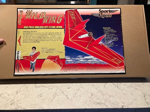 Sport Flyers Wild Wing RC Pusher Prop Jet Airplane ARF Kit | eBay
