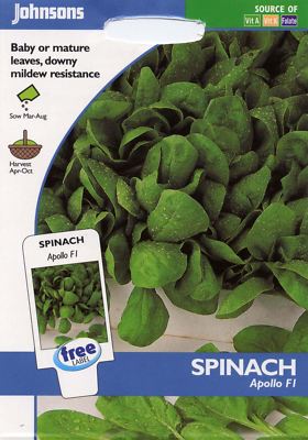 Johnsons Seeds - Pictorial Pack - Vegetable - Spinach Apollo F1 - 300 ...