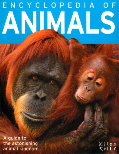 Encyclopaedia Of Animals by Miles Kelly [Paperback] | eBay