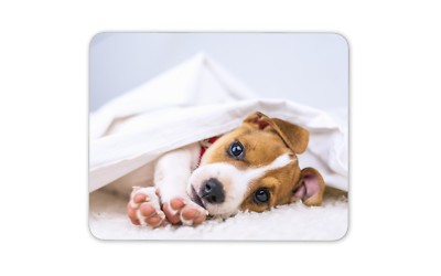 Cute Jack Russell Puppy Mouse Mat Pad - Dog Animal Mum Gift PC Computer ...