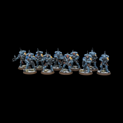 Well Painted Primaris Reivers Space Wolf Space Marines Warhammer 40k | eBay