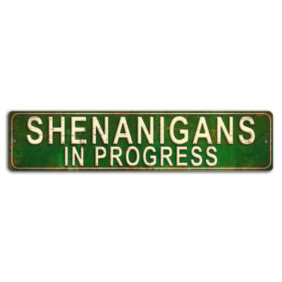 Shenanigans in Progress Street Sign - 18x4 Inch Funny Metal Decor | eBay