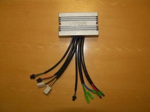 Electric Bike Components Thompson Euro Classic 2 Motor Control Unit ...