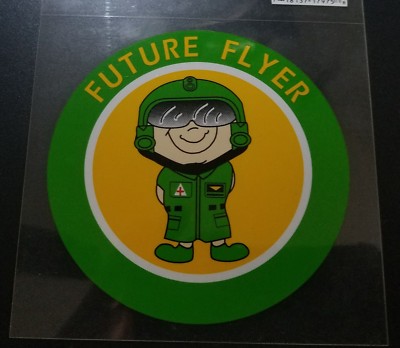 US MILITARY FUTURE FLYER KIDS PATRIOTIC VETERAN BUMPER STICKER DECAL | eBay