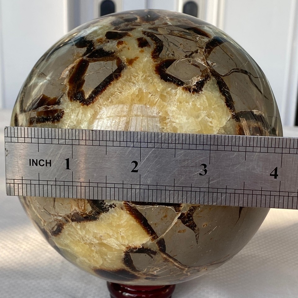 2660G Natural Turtle Back stone dragon crystal ball quartz mineral ...