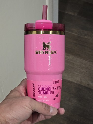 🧙Stanley x Target Glinda 20OZ H2.0 FlowState Tumbler Wicked Collection👸 ...