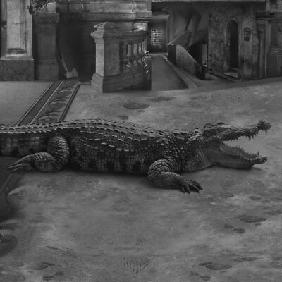 Fine Art Photography Signed Ltd Edition Crocodile & Little Girl by ...