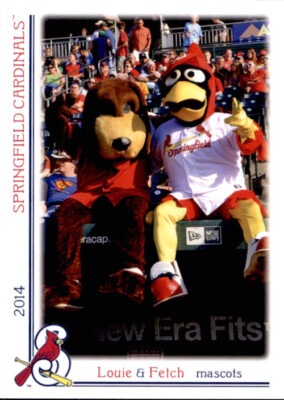 2014 Springfield Cardinals Team Issue #31 Louie and Fetch - NM Baseball ...