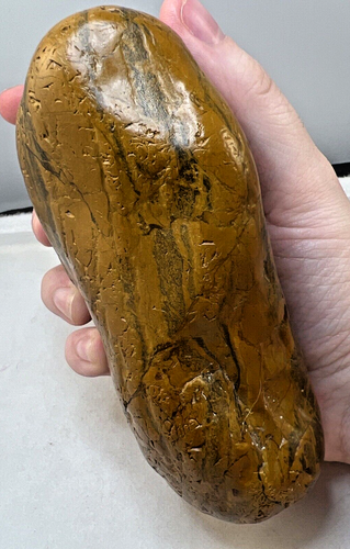 Yellow Jasper WYO Banded Iron Tiger Ironstone GENESIS Mormon Seer Stone ...