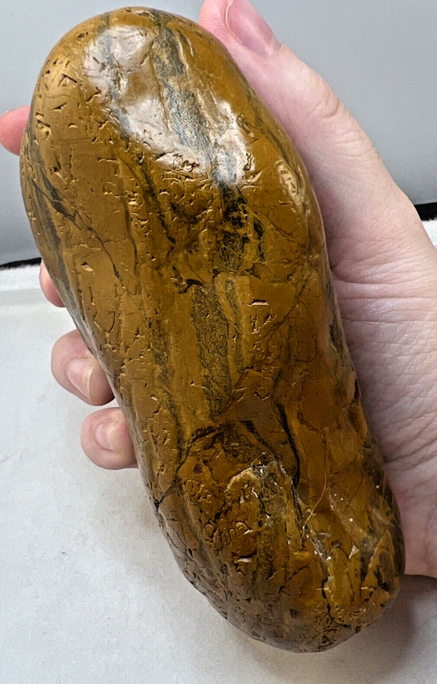 Yellow Jasper WYO Banded Iron Tiger Ironstone GENESIS Mormon Seer Stone ...