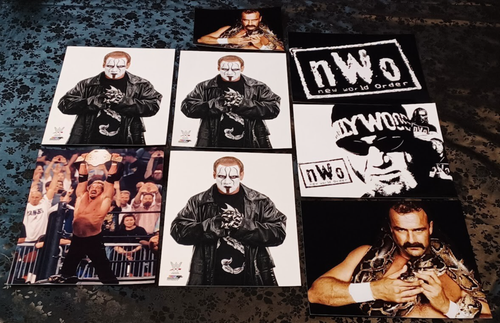 WWE Wrestling 8x10 Photo Picture Collection - Jake the Snake, Hogan ...