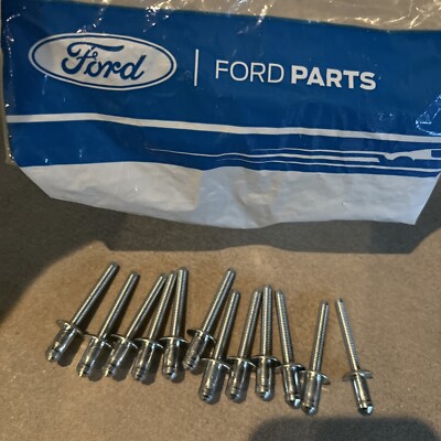 Ford Specialty Rivet W702512-S900C (12) F150 | eBay