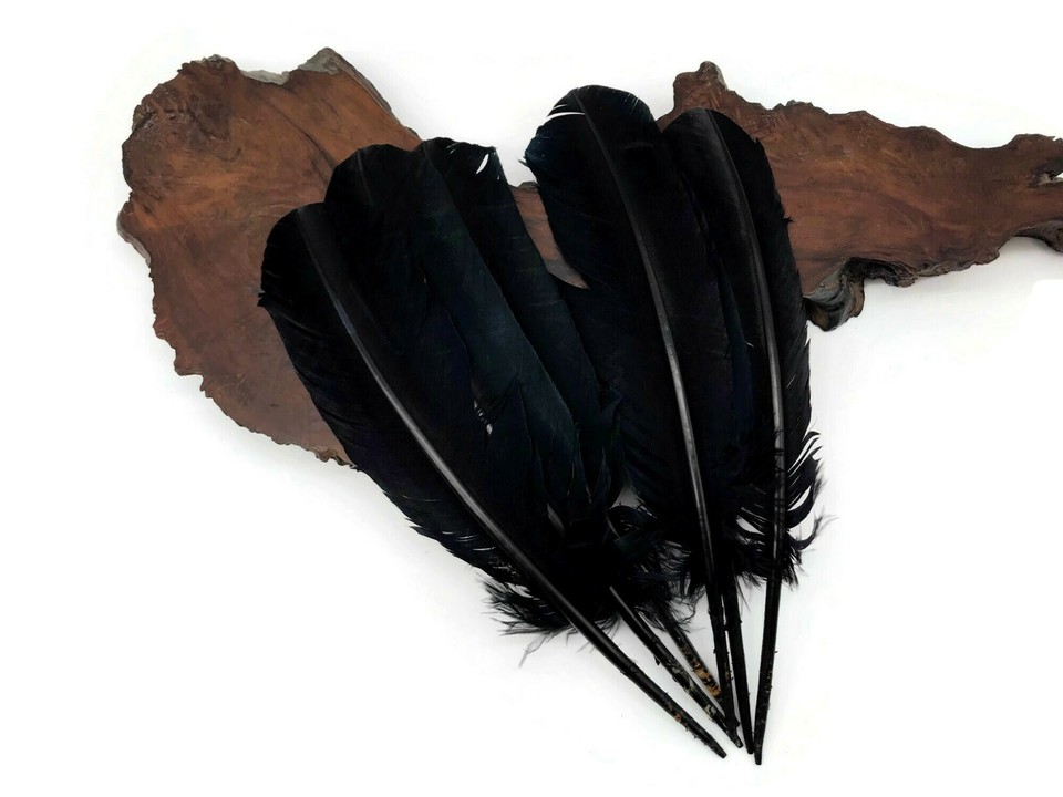 1/4 Lb. Black Turkey Tom Rounds Secondary Wing Quill Wholesale Feathers ...