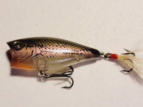 Excalibur Zell Roland Pop'n Image Jr Topwater Fishing Lure 2 3/8" | eBay