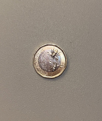 2023 King Charles Bees £1 Pound Coin | eBay UK