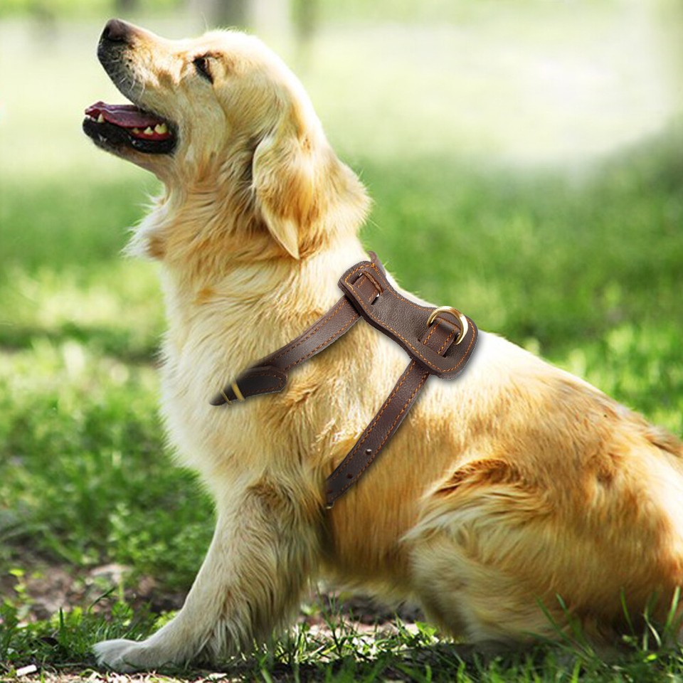 Genuine Leather Dog Harness Heavy Duty Pet Vest Medium Large Dogs ...
