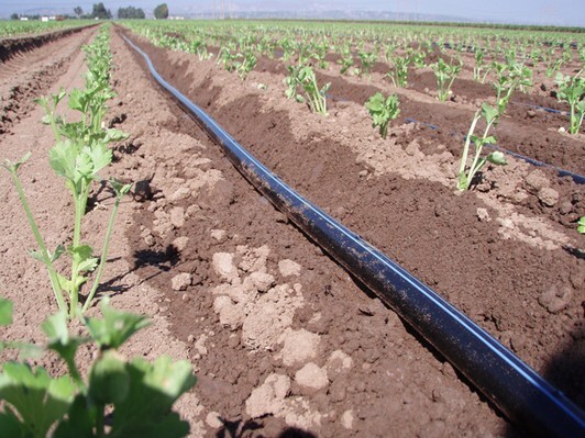Drip Irrigation Product Tapes Irrigation Drip Tape Rolls