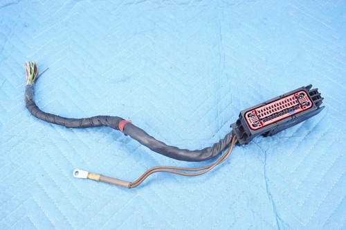 Mercedes S550 Plug Connector 0085405081 008-540-50-81 2013 OEM | eBay