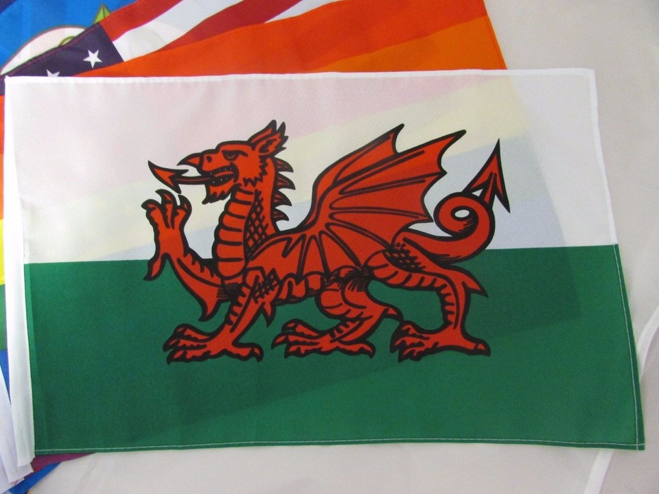 Courtesy Flag 1.5ft x 1ft Sleeved Polyester 180+ designs FREE P&P | eBay UK