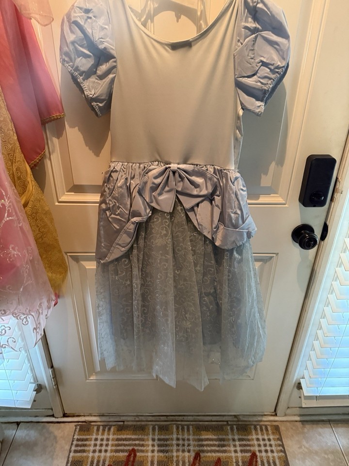 Wdw, Cinderella Bibbidi Bobbidi Boo Dress Extra Large | eBay