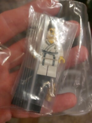 LEGO Karate Master CMF 8684 Series 2 minifigure mini figure | eBay
