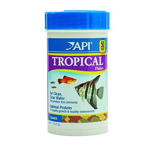 API TROPICAL FLAKES Fish Food 1.1-Ounce Container | eBay