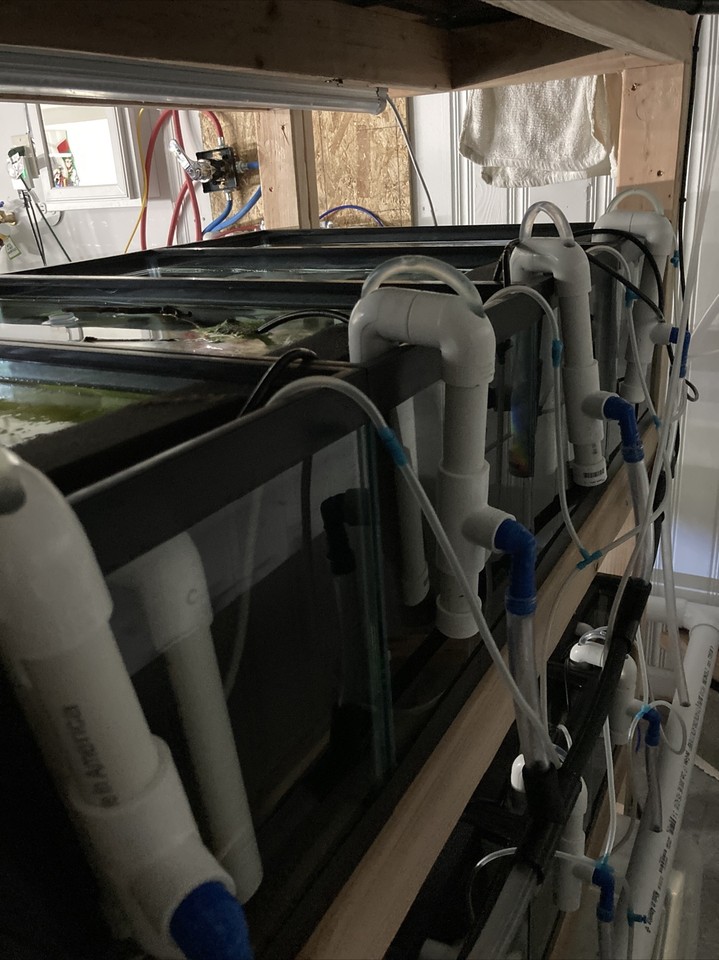 PVC Overflow Fish Tank No-drill Overflow | eBay