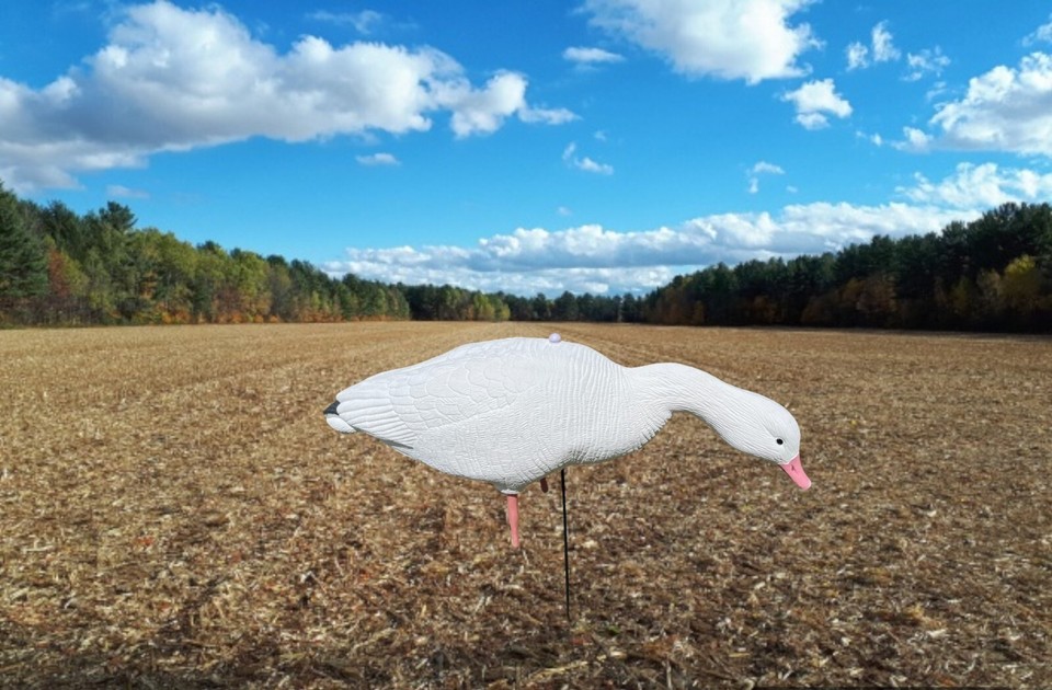 Snow Goose Full Body Decoys - 12 pack Snow Goose Decoys with Stakes ...