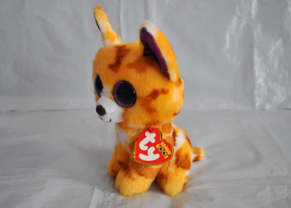 TY Beanie Boos Chihuahua Pablo Glitter Eyes 7" Plush Stuffed Toy New ...