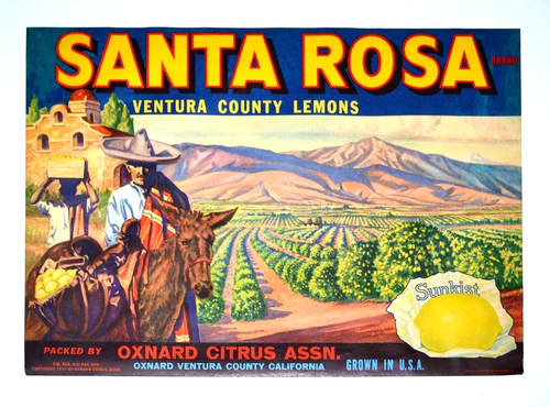 SUNKIST FRUIT CRATE LABEL-SANTA ROSA BRAND VENTURA COUNTY LEMONS (A ...