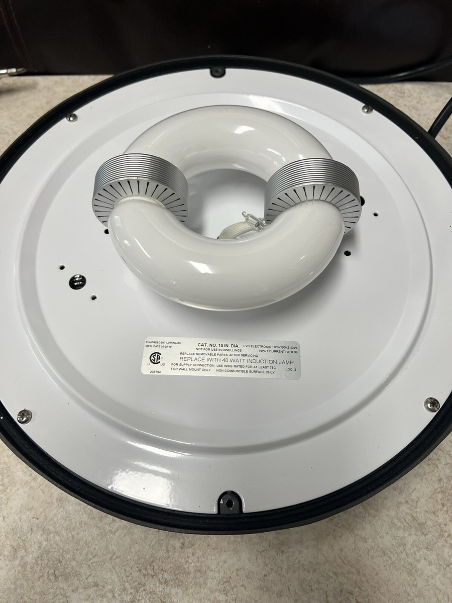 40 Watt Induction Light