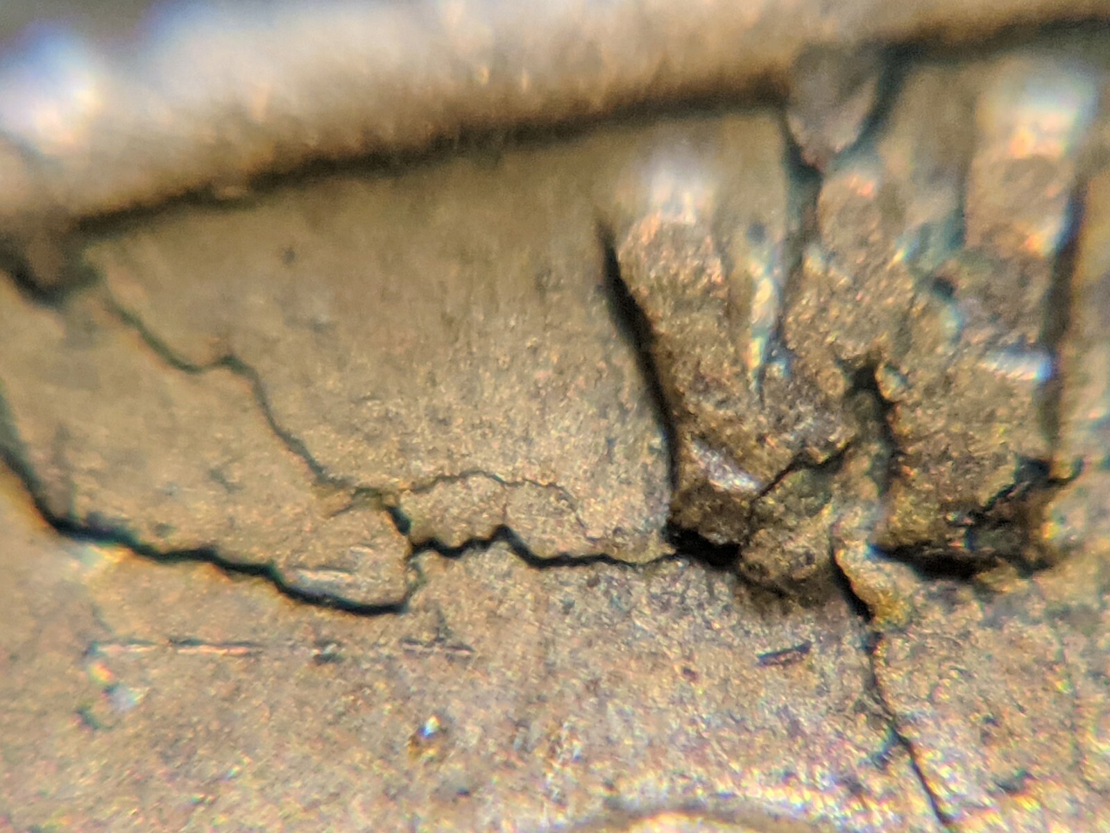 1960 Major Lamination Obverse US Mint Error Lincoln Memorial Cent | eBay