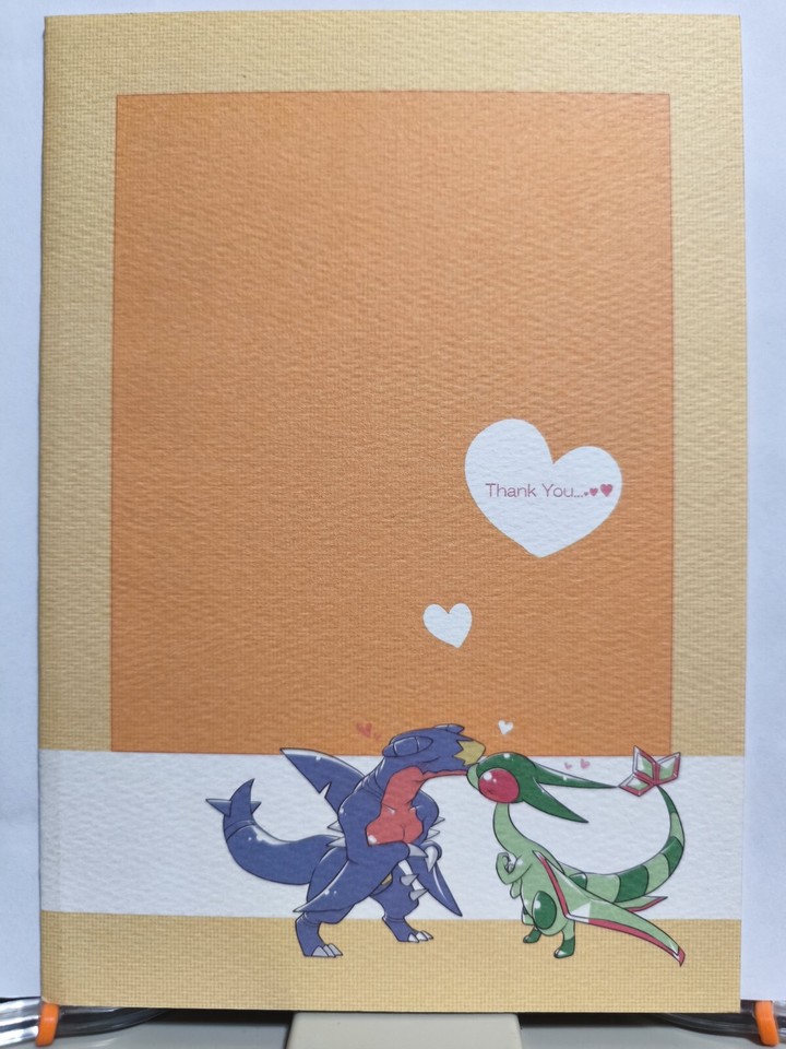 doujinshi kemono pokemon （A5 - 18pages) Flygon Garchomp | eBay