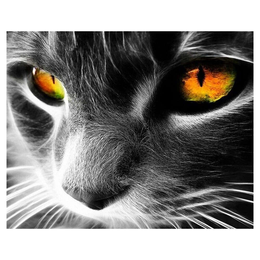 Black Cat Painting Face