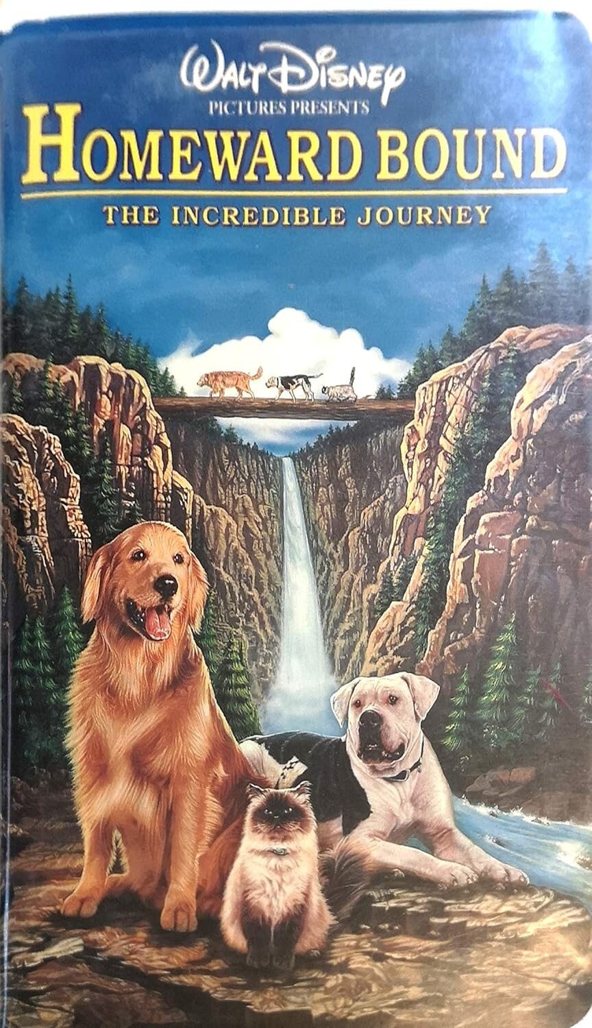 Disney Movies: Lot of 4 VHS and 1 DVD | eBay