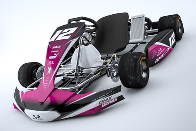 Go Kart Decals Kit For KG OTK BIREL NEW AGE CADET FP7 OMX Graphics ...
