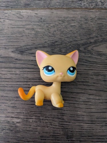 Littlest Pet Shop LPS #339 Shorthair Cat Yellow and Blue Eyes Rare Authentic | eBay