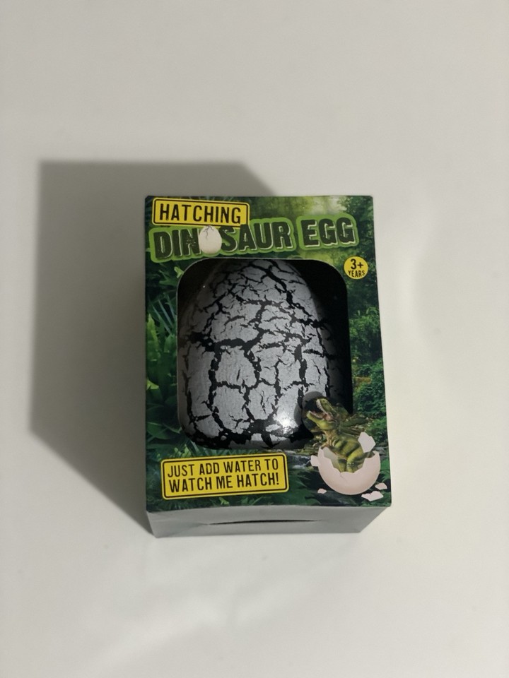 Hatching Dinosaur Egg - Amazing, just add water to watch me hatch! Fun ...