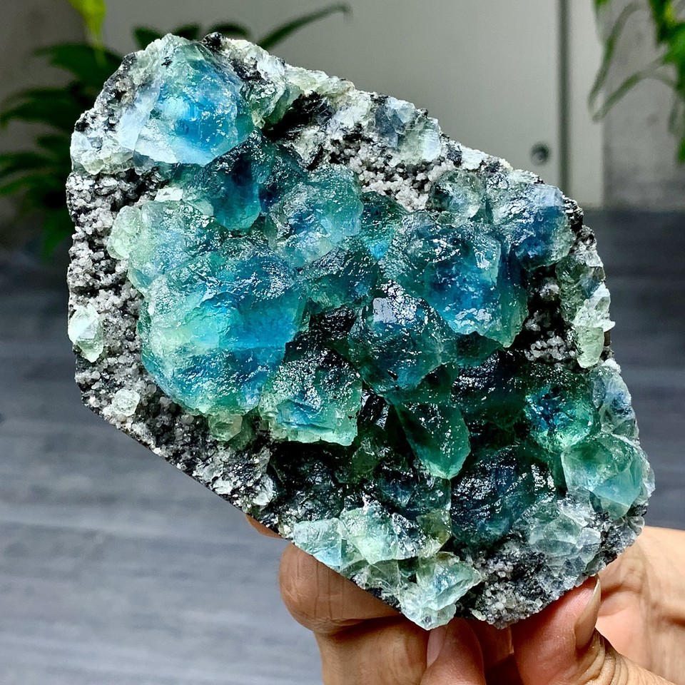 475G Rare transparent blue-green cubic fluorite mineral crystal sample ...