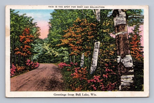 Vintage Wisconsin Postcard PELL LAKE Birch Trees Relaxation 1942 | eBay