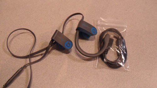 Beats by Dr. Dre Powerbeats3 PowerBeats 3 Wireless In-Ear Headphones ...