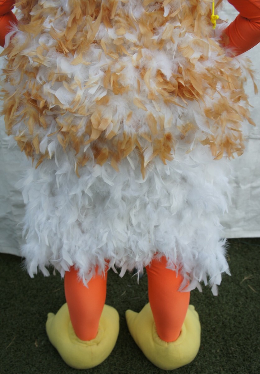 Chicken Costume Diy