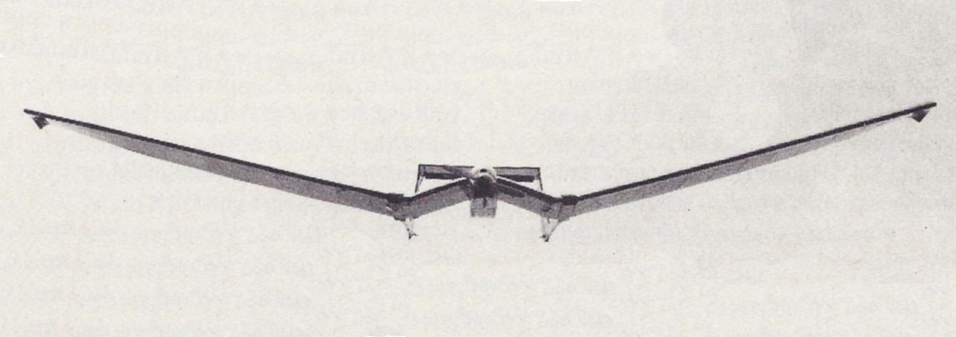 Giant Sorcerer Powered Sport Sailplane Plans, Templates & Instructions ...