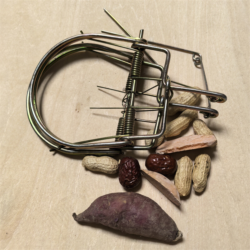 2pcs Size M Professional Rodent Traps Strong Spring Mouse Trap Snap Rat ...