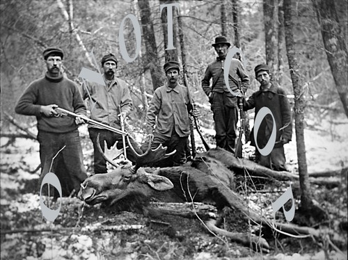 ANTIQUE EARLY HUNTING REPRODUCTION 8X10 PHOTOGRAPH MOOSE HUNTING RIFLES ...