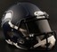 ***CUSTOM*** SEATTLE SEAHAWKS Full Size NFL Riddell SPEED Football ...